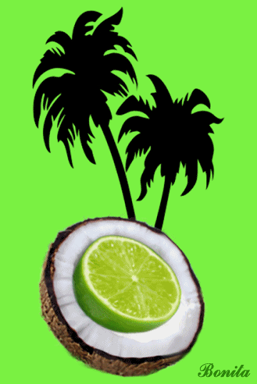 U PUT THE LIME IN THE COCONUT PICTURE/CARD (…. ¸¸ ….) ." by Bonita ђєℓℓ ...