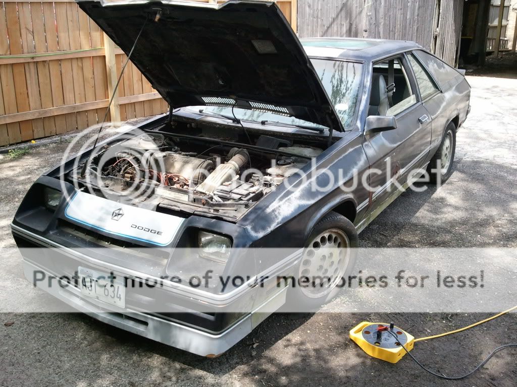 1987 Dodge Shelby Charger!! | Charger Forums