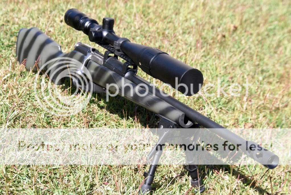 Post your Mosin Nagant Project/Modified here...