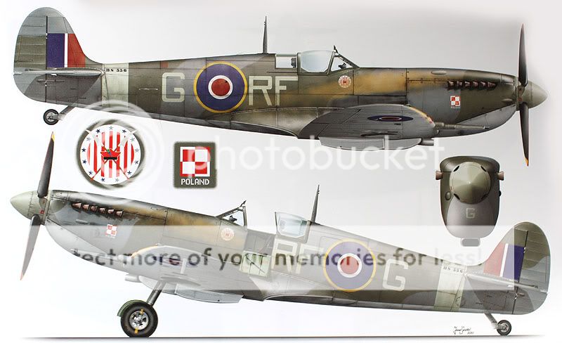 1:32 Tamiya Spitfire Mk IX BS556 - Ready for Inspection - Large Scale ...